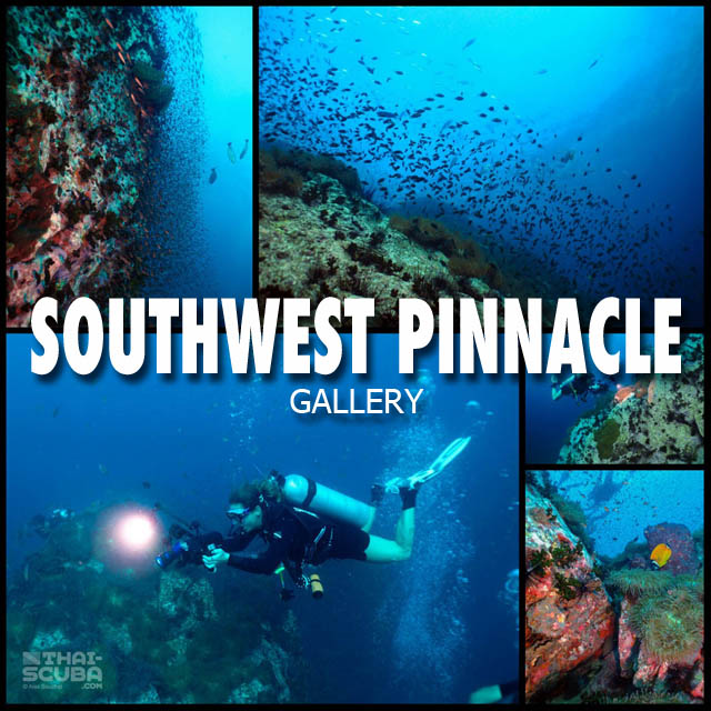 Projects | Thai Scuba