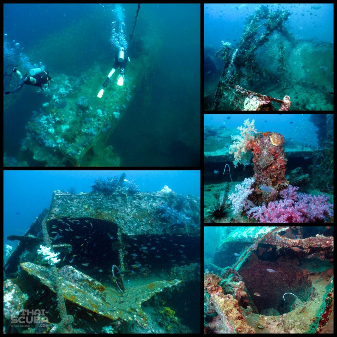 King Cruiser gallery | Thai Scuba